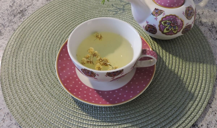 Portal T5 | 6 chás com marcela e seus benefícios para a saúde