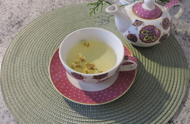 Portal T5 | 6 chás com marcela e seus benefícios para a saúde