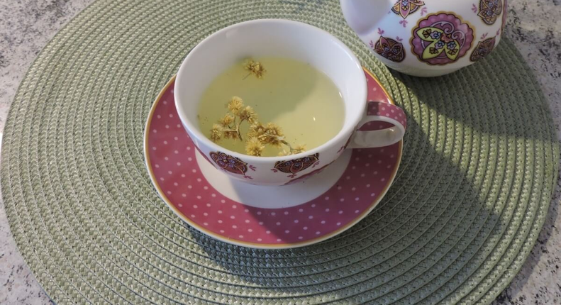 Portal T5 | 6 chás com marcela e seus benefícios para a saúde