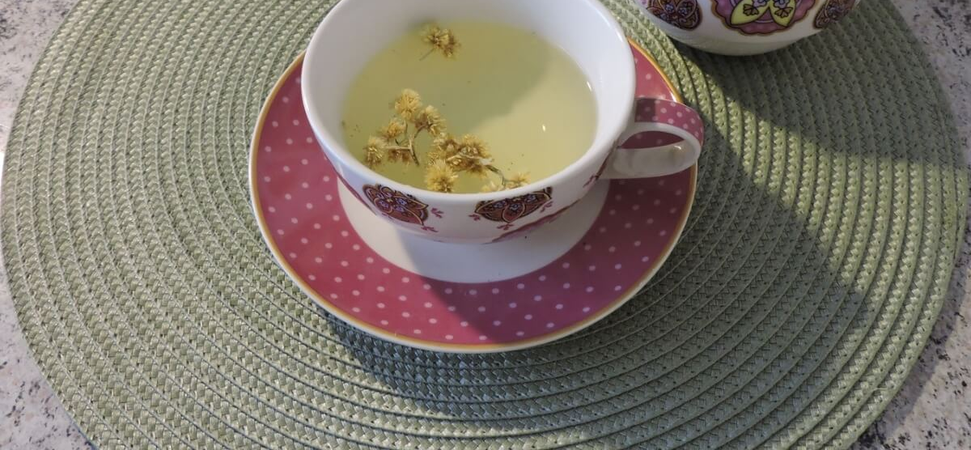 Portal T5 | 6 chás com marcela e seus benefícios para a saúde